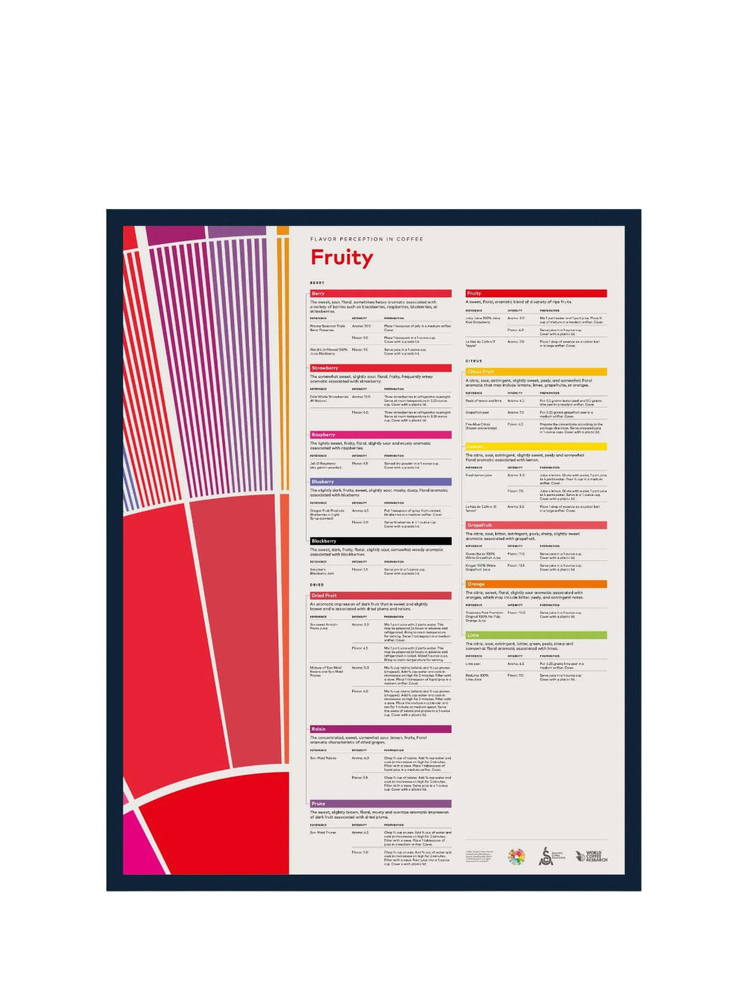 SCA Flavour Perception in Coffee Poster (Fruity) – Someware